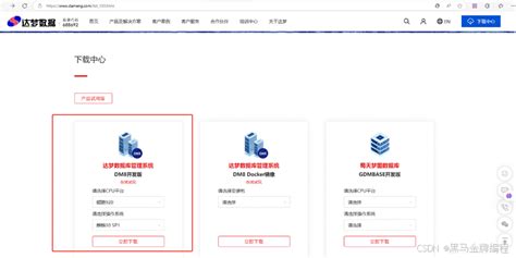 基于银河麒麟系统arm架构安装达梦数据库并配置主从模式 达梦数据库主从实时复制 csdn博客
