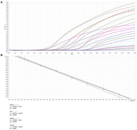 Frontiers Development Of A Taqman Based Multiplex Real Time Pcr For Simultaneous Detection Of