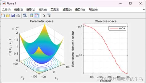 鲸鱼优化算法MATLAB代码 CSDN博客