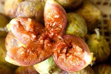 무료 사진 음식 과일 사과 음식 석류 비타민 맛 있는