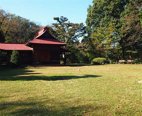 荒幡富士市民の森狭山丘陵さんぽ狭山丘陵の自然 トトロの森を歩く