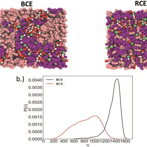 A The Model BCE Left And RCE Right With The Different Chemical Download Scientific