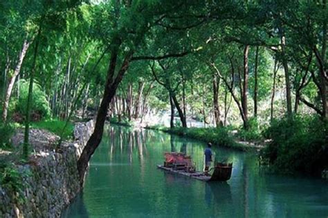 香樟花园 香樟 无锡香樟花园 大山谷图库