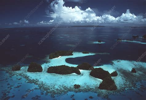 Palau Island Stock Image E680 0135 Science Photo Library