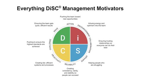 Disc Tests The Everything Disc Management Profile And Assessment