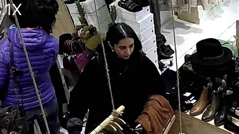 Golriz In Action The Real Marc Spring