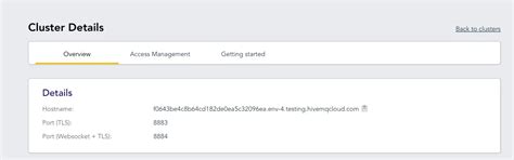 Websocket Support For Hivemq Cloud Basic