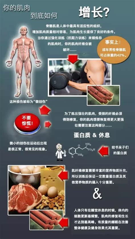 关于肌肉酸痛这是你该知道的 知乎