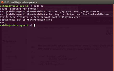 how to solve certificate verification error during apt update on jetso