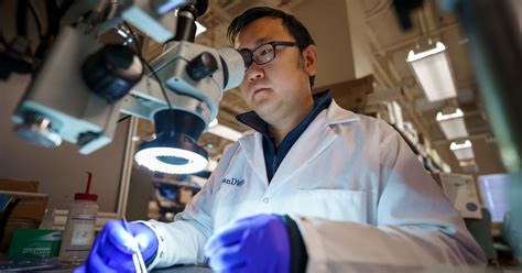 Wearable Sensor Uses Ultrasound To Provide Cardiac Imaging On The Go