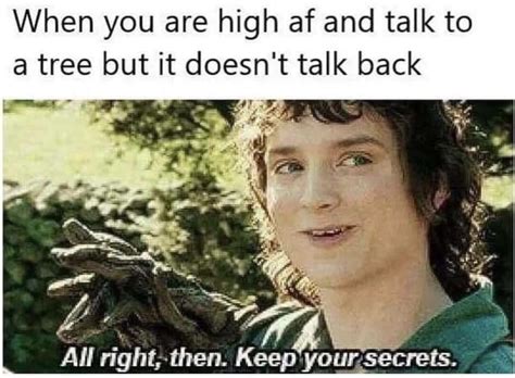 Tree Beard Meme By Frylockjim92 Memedroid