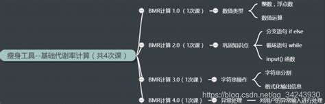 Python入门基础 六、案例3 基础代谢率（bmr）计算器 Python中常用的数值类型字符串分割与格式化输出异常处理机制bmr