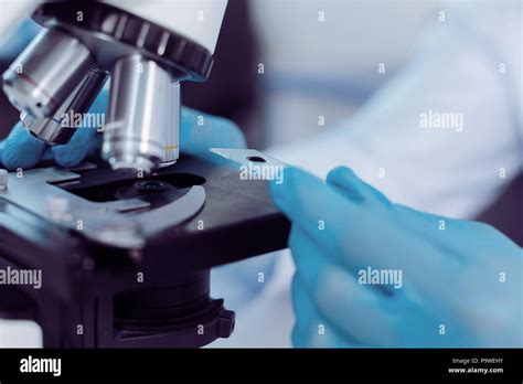 Biological Analysis Close Up Of A Microscope Slide With A Test Sample