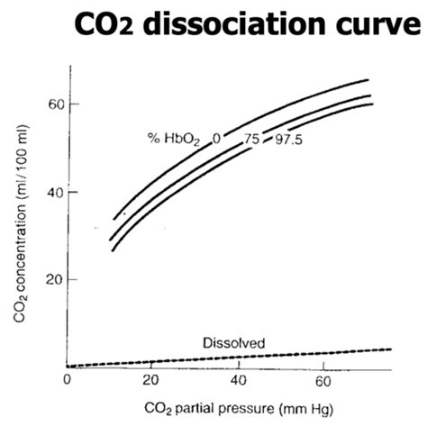 Hk 4550 Lecture 6and7 Flashcards Quizlet
