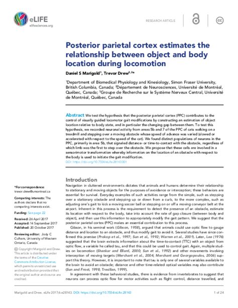 Pdf Posterior Parietal Cortex Estimates The Relationship Between