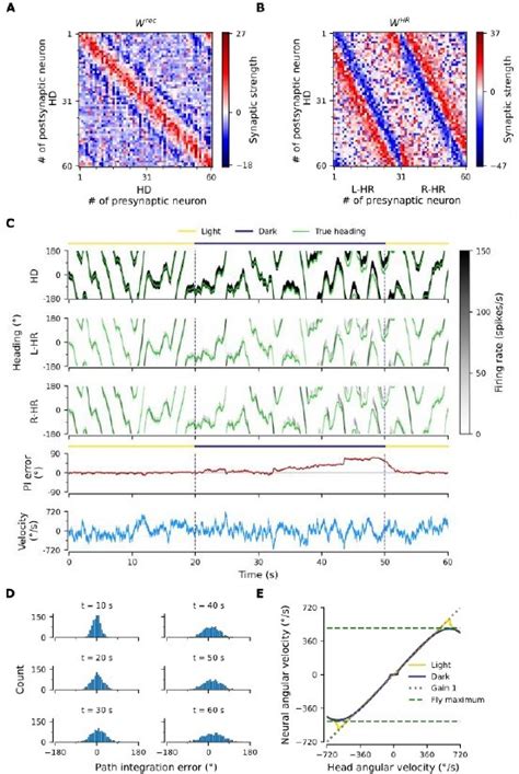 Figures And Data In Learning Accurate Path Integration In Ring