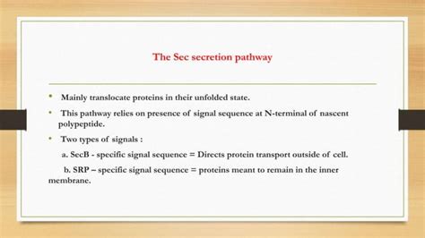 Bacterial Secretion System And Types Pptx