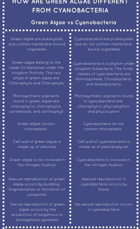 How Are Green Algae Different From Cyanobacteria Pediaacom