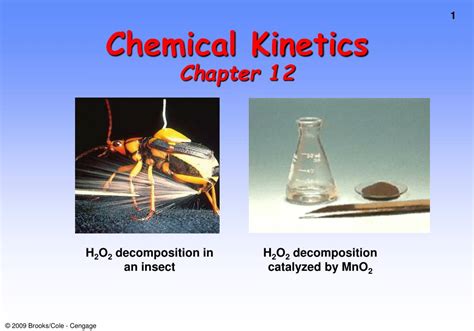 PPT Chemical Kinetics Chapter 12 PowerPoint Presentation Free Download ID 6548763