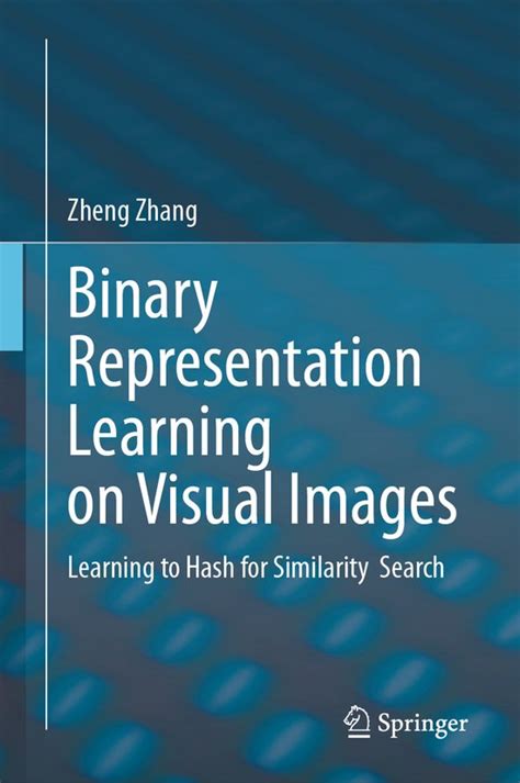 Binary Representation Learning On Visual Images 9789819721115 Zheng