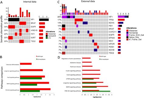 Hot Map And Kegg Analysis In Wt Gists In Our Center As Internal Data Download Scientific