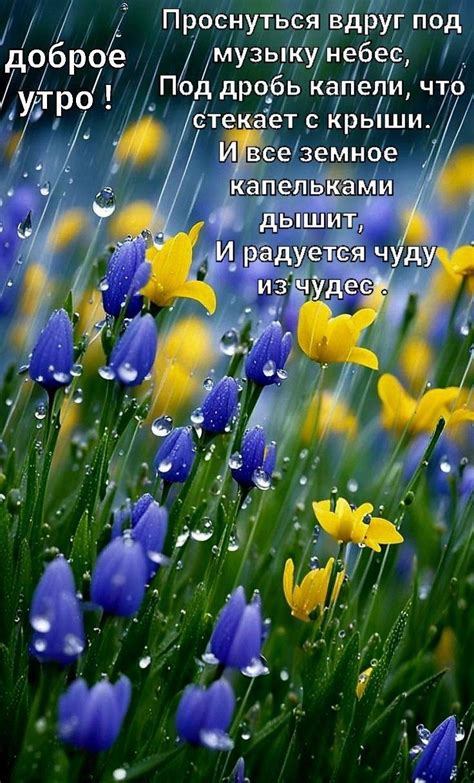 Пин от пользователя Alla на доске Поздравок Счастливые картинки Дождливое утро Доброе утро