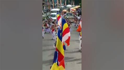 තේ දක්ඛිණෙය්‍යා සුගතස්ස සාවකා කැගල්ලේ මහා පිණ්ඩපාත චාරිකාව Youtube