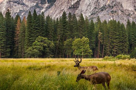 Vue Now Ui Dashboard Pro Laravel By Creative Tim And Updivision