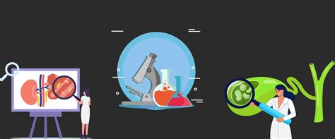 Lab Tests Definitions Uses And Clinical Fields Patringa