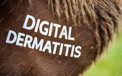 Dermatitis Digitales Foto Premium