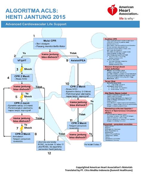 Algoritma Acls Bhs Indonesia Pdf