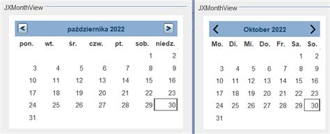 jxmonthview jxtipoftheday replace png icons with radience svg · issue 37 · homebeaver swingset