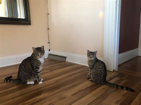 Heres An Adorable Update On Two Pixie The Pixie Project