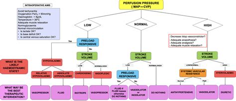 Advanced Haemodynamic Monitoring Algorithm Download Scientific Diagram