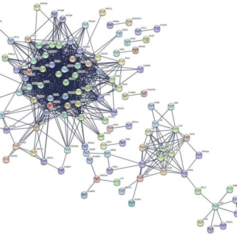 String Protein Protein Interaction Analysis Of The Fixed Point Gene Set