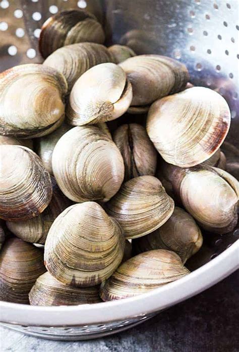 Buttery Garlic Steamed Clams The Blond Cook
