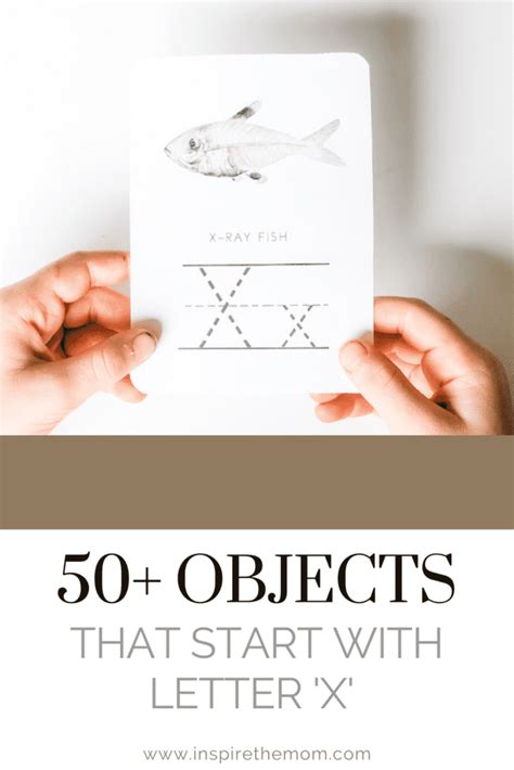 50 Objects That Start With X Alphabet Items A Z