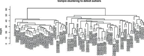 Samples Clustering To Detect Outliers Gse8401 Download Scientific Diagram