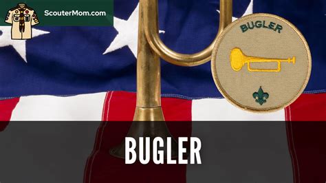 Bugler Description And Self Evaluation
