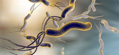 Helicobacter Pylori Sconfiggerlo è Possibile