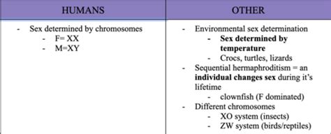 Biology 171 Final Exam Wright Flashcards Quizlet