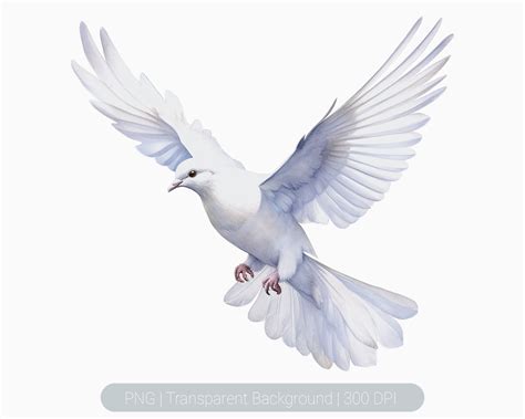 Dove Flying Clipart