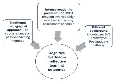 Transforming Veterinary Histology Education A Personal Journey From Struggle To Innovation