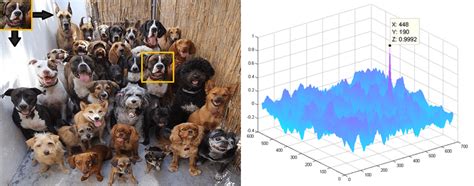 a template image sliding over source image b result of zncc