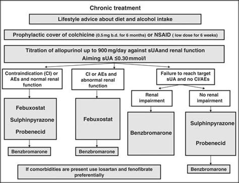 Algorithm For The Medical Treatment Of Chronic Gout In The Uk