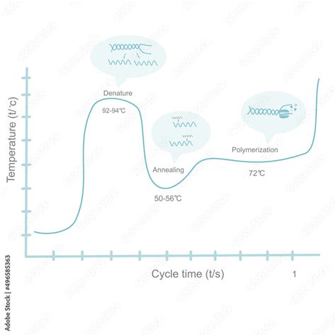Vetor De The Correlation Graph Of Temperature And Cycle Time Of Pcr