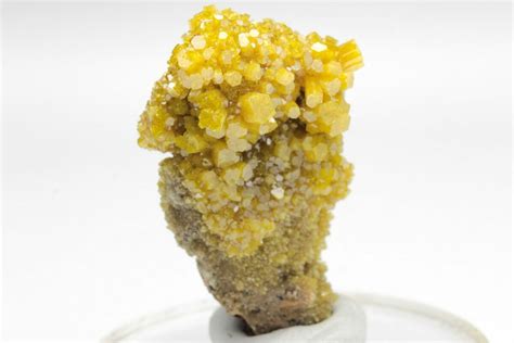 17 Golden Pyromorphite Crystal Cluster Bunker Hill Mine Idaho