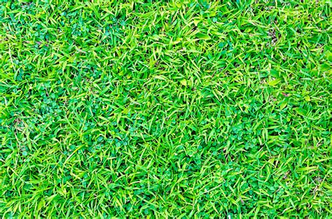 Green Grass Texture Background Green Artificial Grass Meadow Green Game