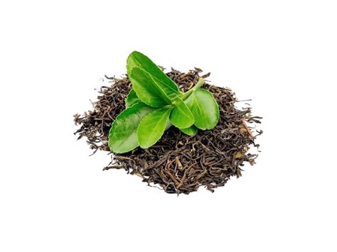 茶多酚 陕西泽朗生物科技有限公司