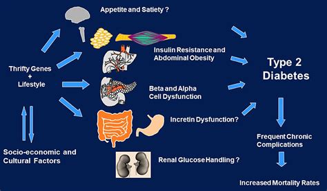 Frontiers The “a To Z” Of Managing Type 2 Diabetes In Culturally